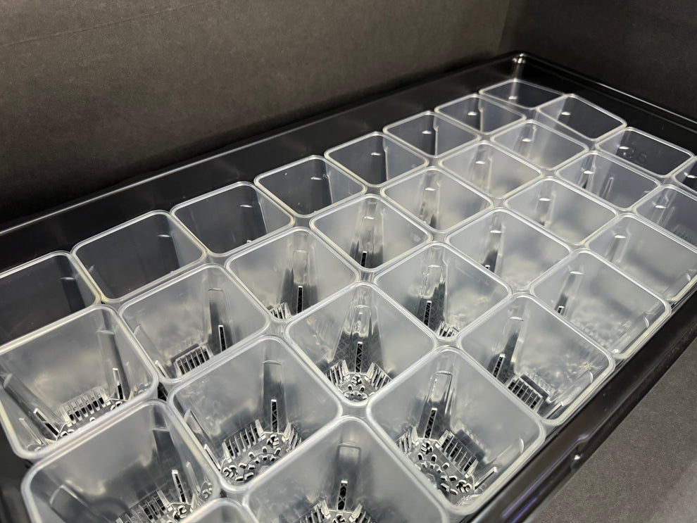 Durable Deep Plant Tray for Seedlings, Cuttings, and Hydroponics - Ide ...