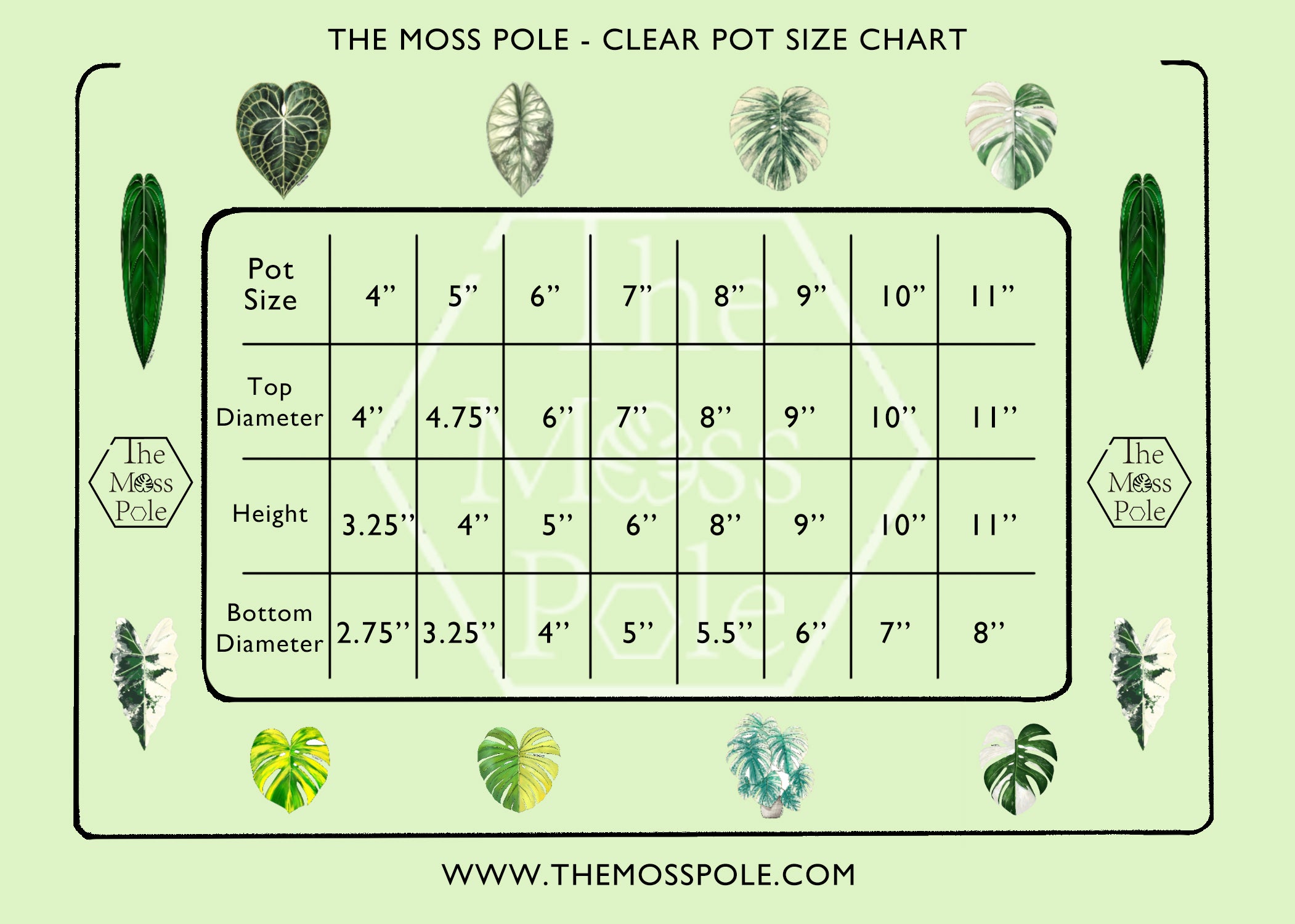 High quality Clear pot with good drainage! Multi-size Available! – The ...